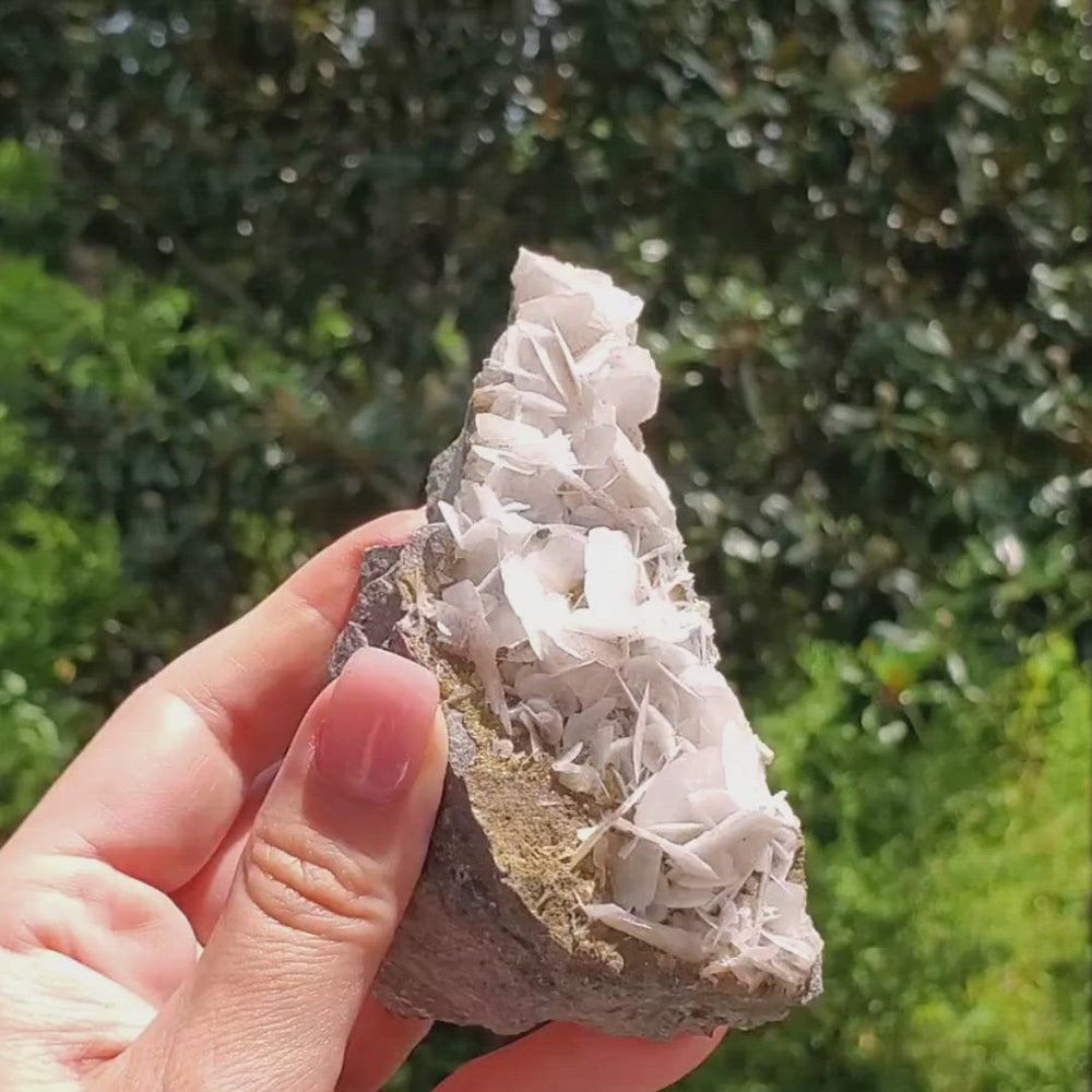 Angel Wing Calcite Specimen
