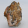Very Fine Orange Barite with Pyrite and Sphalerite with Dolomite Matrix ...